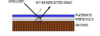 Ice Rink Liners - Canada and USA